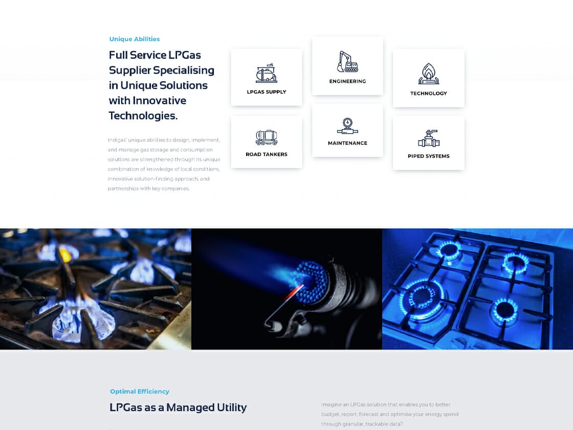 Indigas Website - Lucidity Design